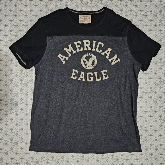 American Eagle Outfitters | Shirts | Aeo Vintage Classic Fit Velvet ...